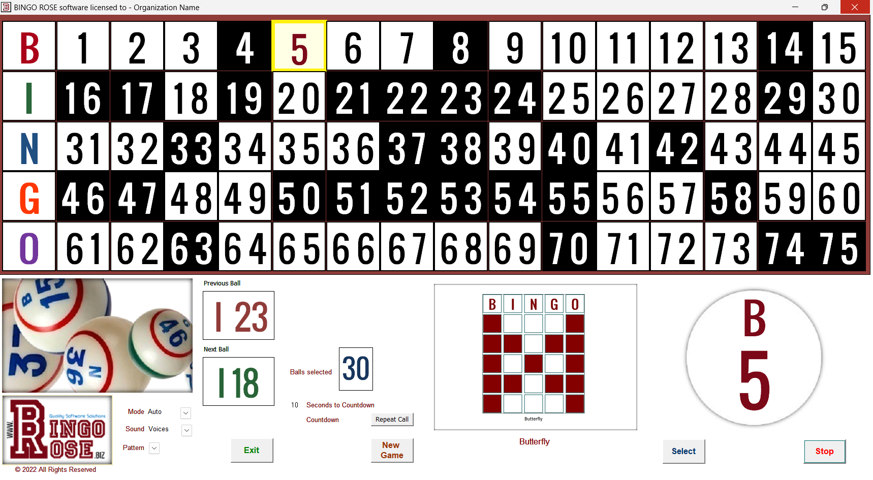 Bingo Hall Plus - Bingo Rose